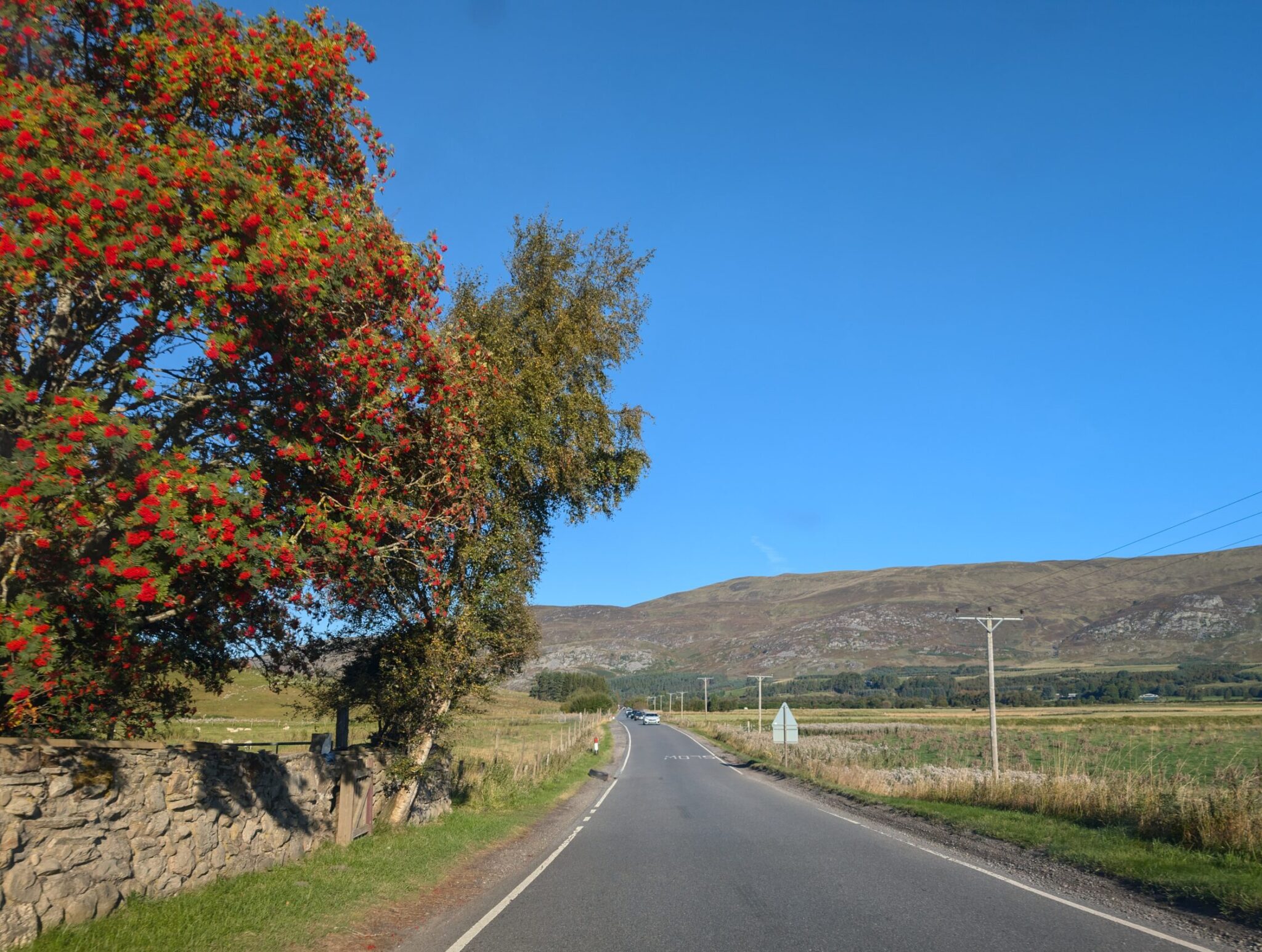 Farmstrong Scotland: Building resilience in farming communities